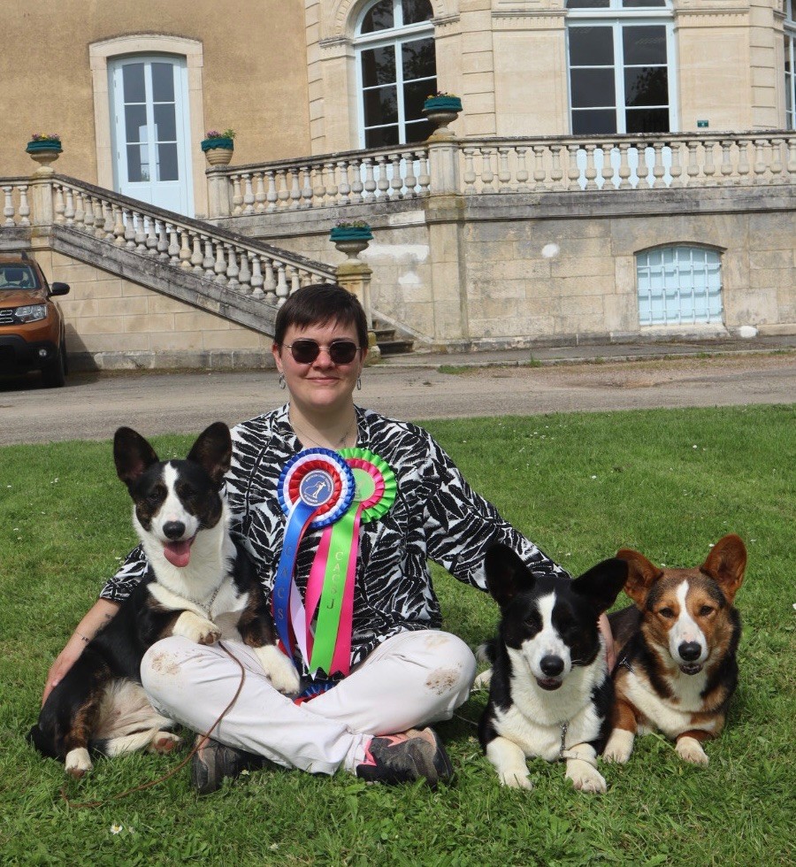 Accueil - Elevage Of Queen Mangilith - eleveur de chiens Welsh Corgi ...